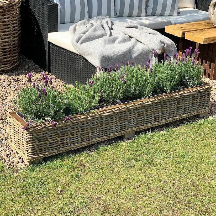 Rattan Oblong Trough – Country Abodes